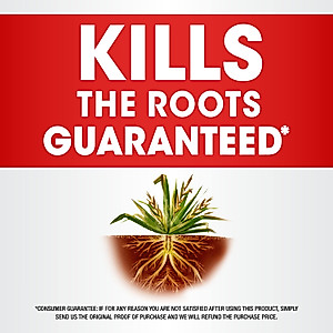 Roundup Concentrate Plus Weed and Grass Killer - Includes Easy Measure Cap, 16 oz.