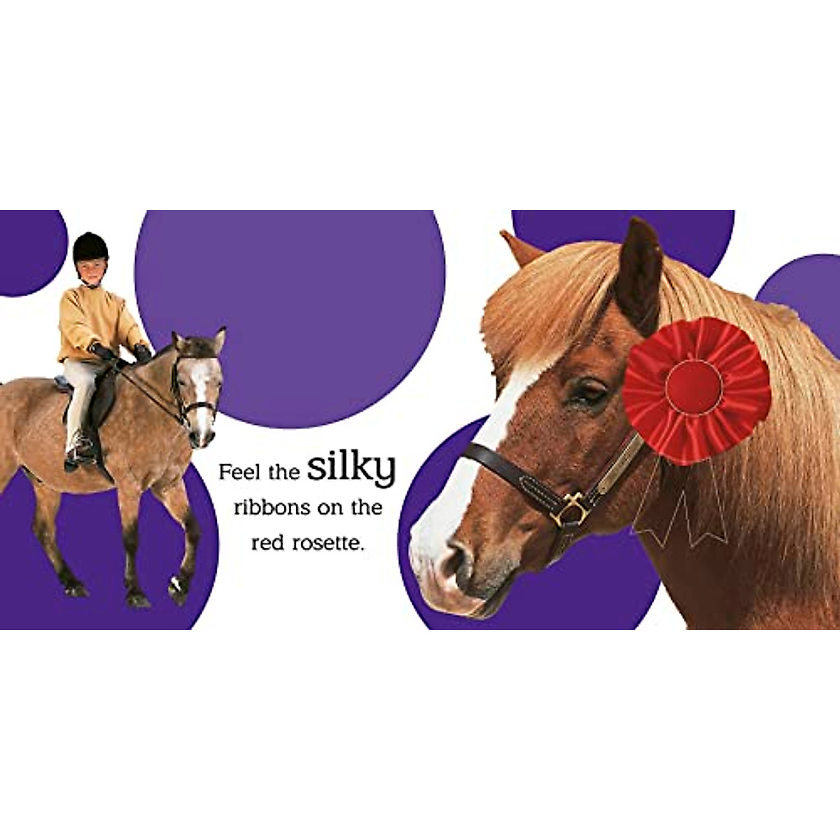 Touch and Feel: Ponies