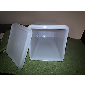 Tupperware Vintage Cracker Keeper Container with Sheer Lid