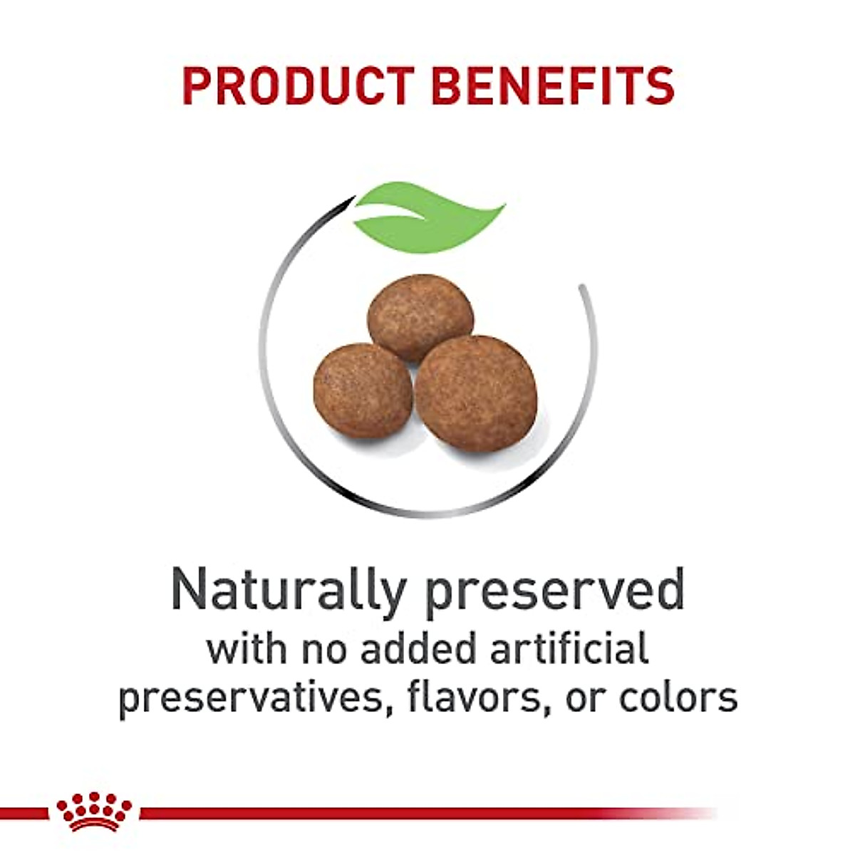 Royal Canin Size Health Nutrition Large Puppy Dry Dog Food, 17 lb bag