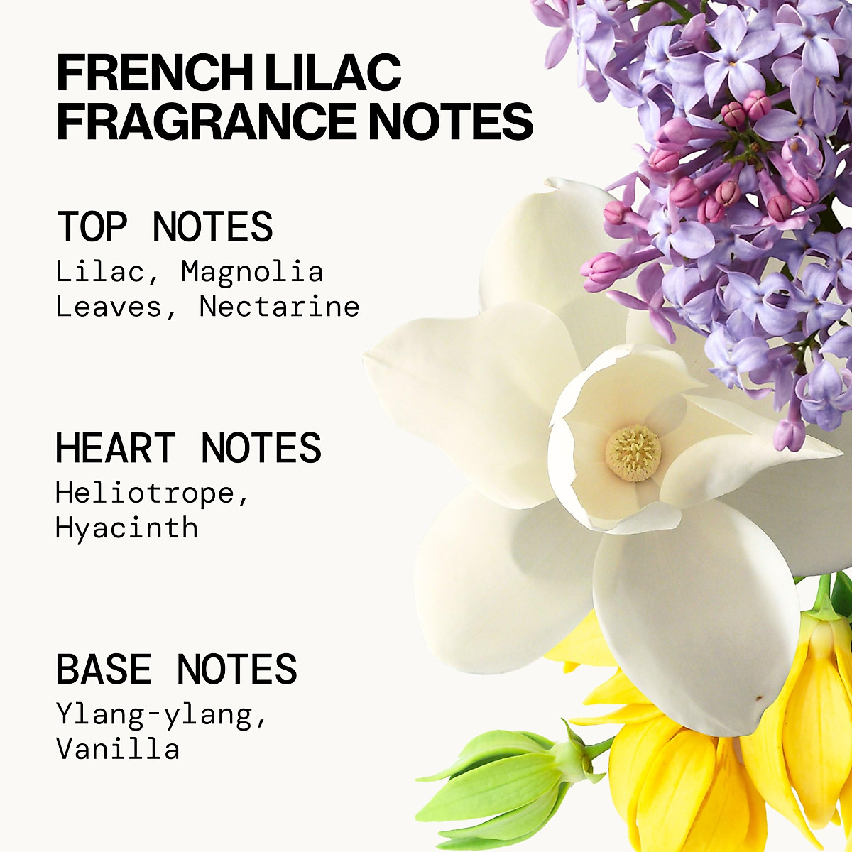 Pacifica Beauty, Wanderlust Spray Perfume Trial Set, Featuring Island Vanilla Mini, 5 Scents, Fragrance Sampler Gift Set, Natural + Essential Oils, Clean, Vegan + Cruelty Free