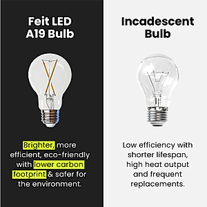 Feit Electric LED Clear A19 Medium Base Light Bulb - 40W Equivalent - 15 Year Life - 450 Lumen - 5000K Daylight - Dimmable | 4-Pack