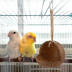 3 Pcs Natural Coconut Bird Hide Nest Birds Parakeet Nest with 6.9 Feet Fake Vines and 4 Hooks, Coconut Fiber Hanging Birdhouse Shell House for Finch Canary Sparrows Reptile Hamster Budgies Cockatiel