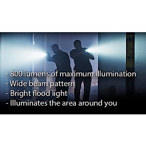 Streamlight 75454 Stinger DS 800-Lumen LED High Lumen Rechargeable Flashlight with 120-Volt AC/12-Volt DC Charger and 2-Holders, Black