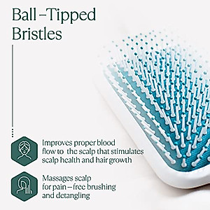 Hair Brush for Thick Hair with Ionic Minerals - Paddle Brush for Men and Women, for Blow Drying, Straightening - Gentle Bristles, Easy Comfort Grip Flat by Osensia (Oval Brush)