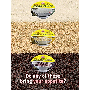 [OTTOGI] Delicious COOKED RICE, Gluten free, Microwavable instant cooked rice, Precooked ready to eat container (7.40oz., 12 count)