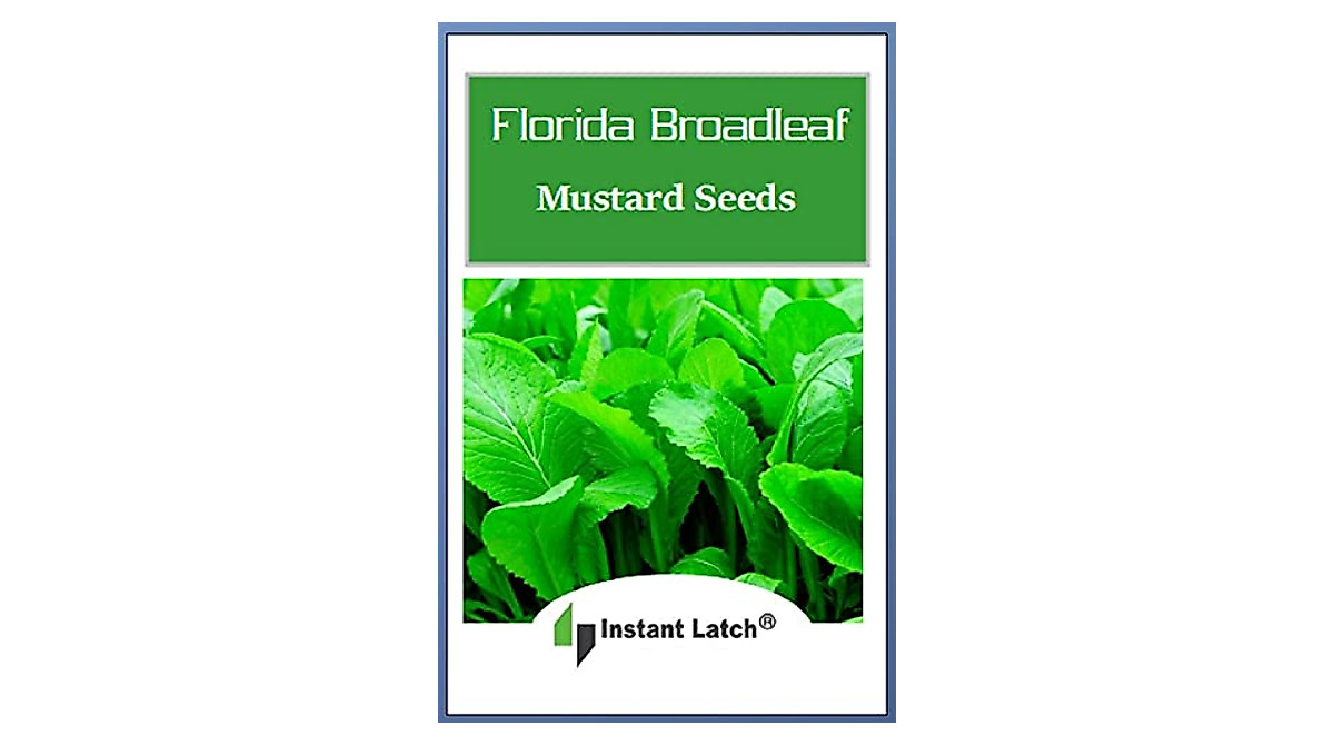 Grow Florida Broadleaf Mustard Seeds - Non-GMO & Heirloom | Fast Harvest