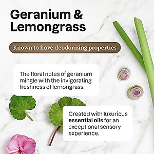 ATTITUDE Laundry Detergent with Essential Oils, EWG Verified, Vegan, Plant and Mineral-Based Ingredients, HE, Refillable Aluminum Bottle, 40 Loads, Geranium and Lemongrass, 33.8 Fl Oz