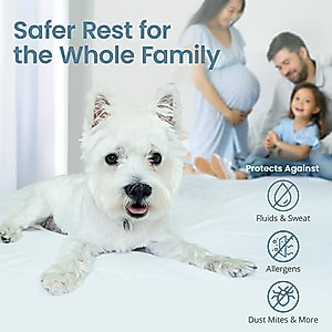 SafeRest Mattress Protector - Twin Size Cotton Terry Waterproof Mattress Protector, Breathable Fitted Mattress Cover with Stretchable Pockets