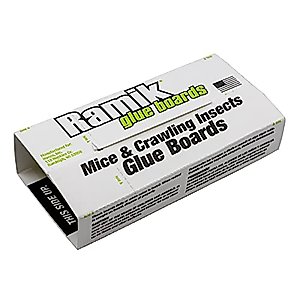 Ramik: 7032766 Glue Rodent Trap - 1 Pack of 4 Traps