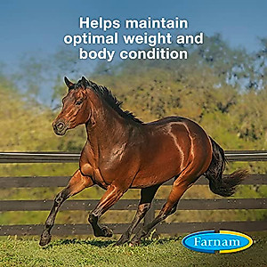 Farnam Weight Builder Horse Weight Supplement, Helps Maintain Optimal Weight and Body Condition with no Sugar Added, 7.5 pounds, 30 Day Supply
