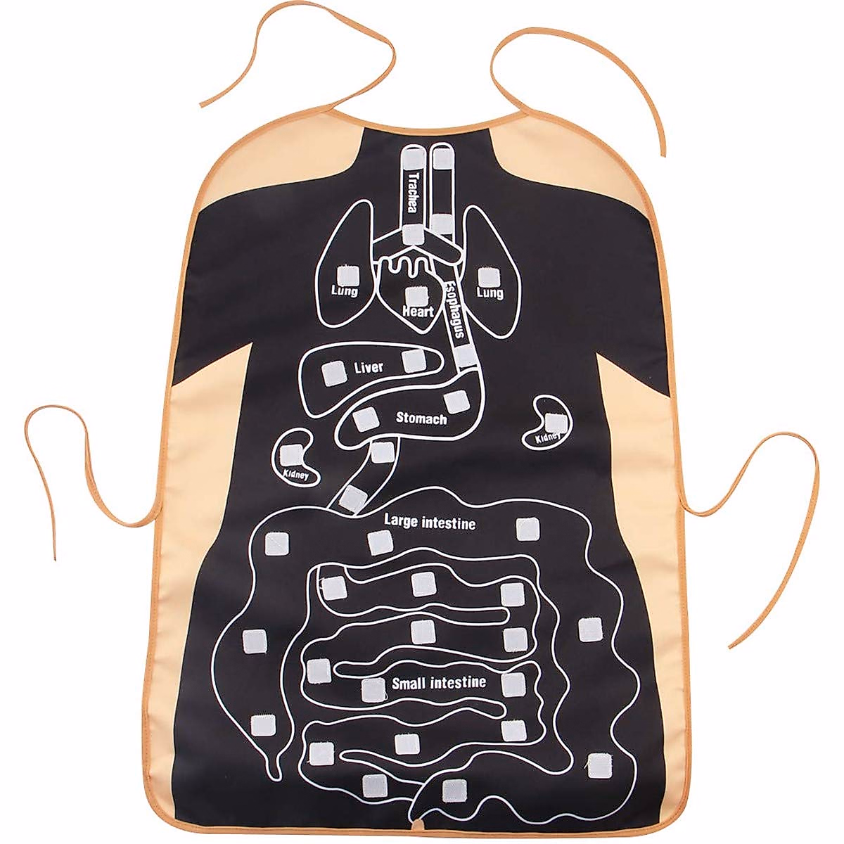 EDIONS 3D Organ Apron for Home Preschool Teaching Aid, Anatomy Apron Human Body Removabl Organs Apron for Kindergarten Kids Children Physiological Education Toy