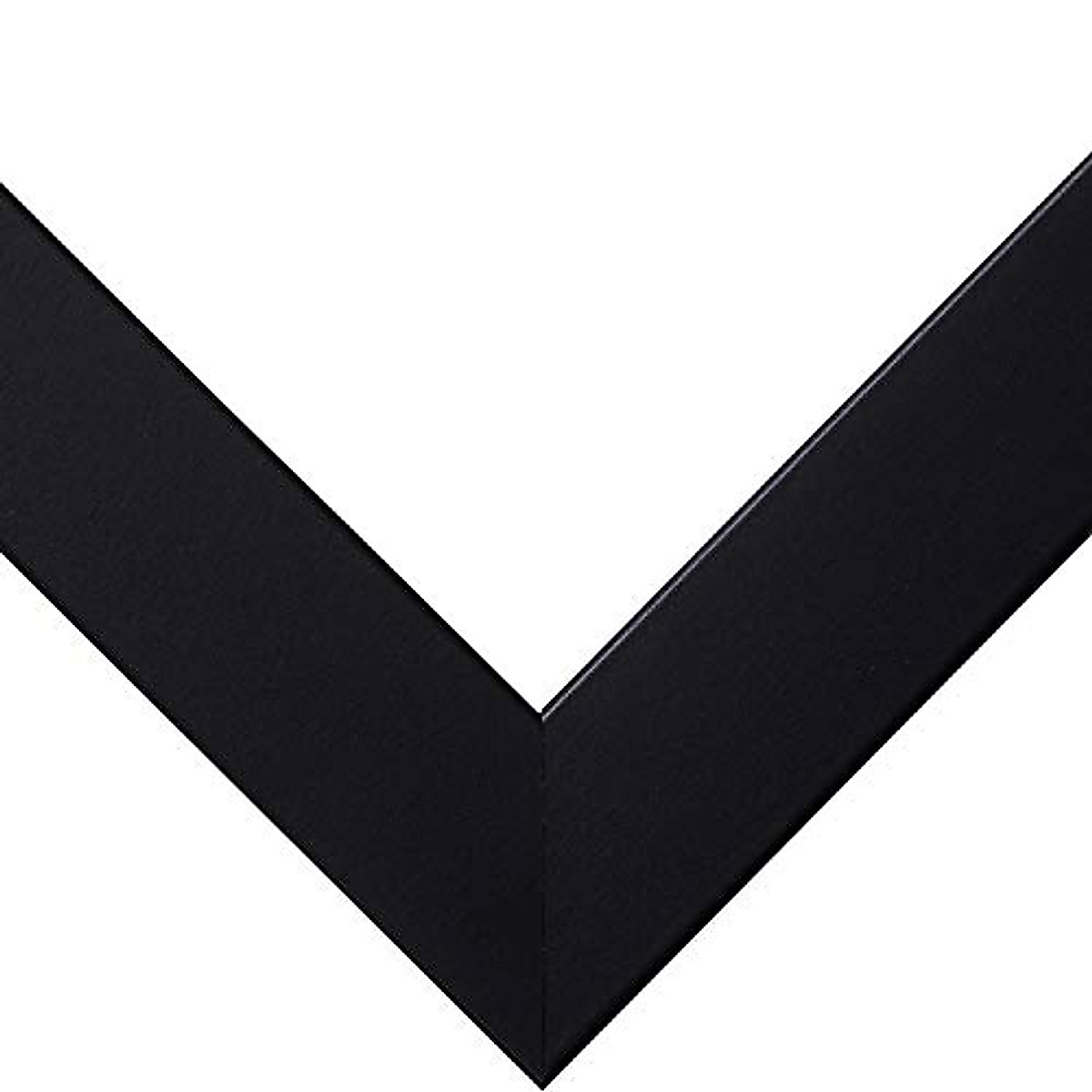 Craig Frames Essentials, Modern 1 Inch Wide 20x24 Inch Black Picture Frame Matted to Display a 16x20 Inch Photo