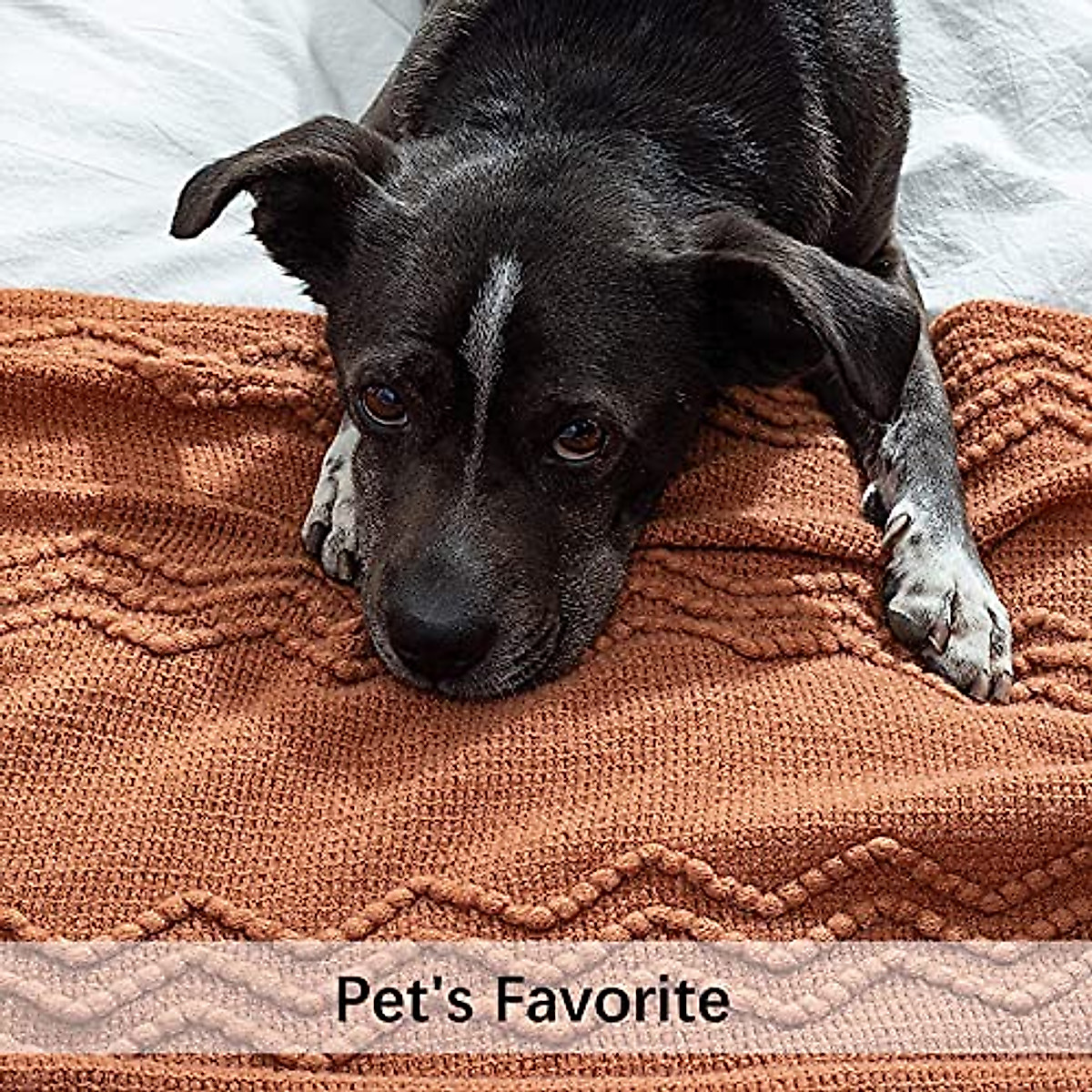 MIULEE Knitted Throw Blanket for Couch Textured Knit Rust Blanket with Tassels Cozy Woven Boho Bed Blanket for Sofa Bed Chair Wave Pattern Fall Decor 50"x60", Orange