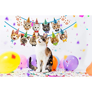 Cat Birthday Banner Not Need DIY Cat Birthday Decorations Cat Garland Cat Faces Banner for Birthday Party Decor