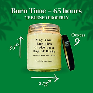 May Your Enemies Choke On a Bag of Dicks - Infused With Deez Nuts | Funny Novelty Candle Gift | Dye Free Handcrafted Palm Wax Candles by Raven Hils Candle Co | 9 Ounces | Scent (Fresh Linen)