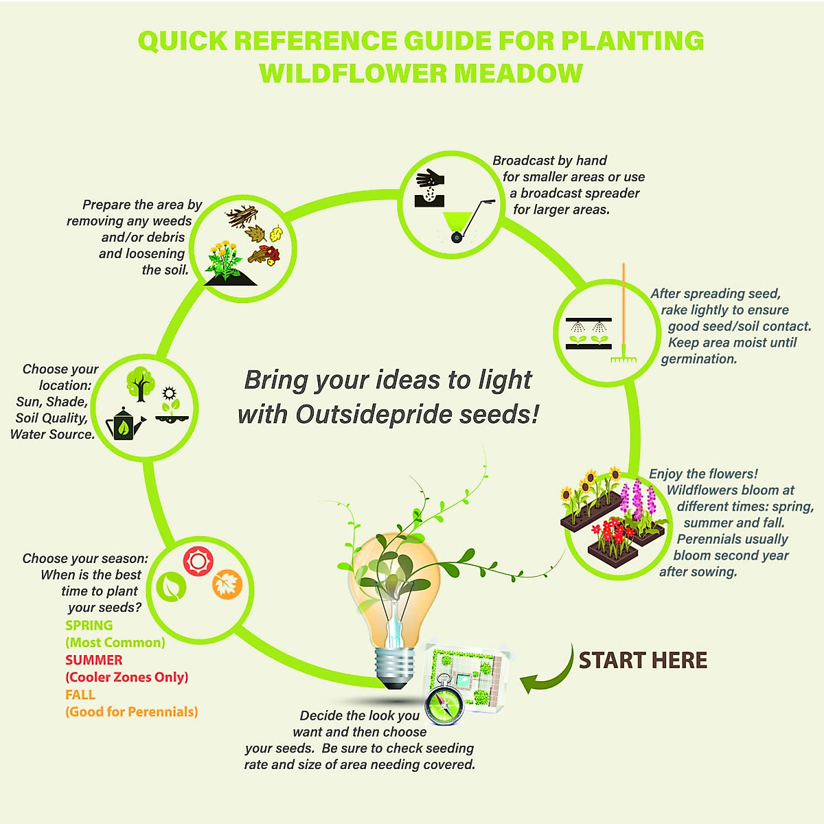 Outsidepride Tagetes Patula French Marigold Garden Flower Seed Mix - 1000 Seeds