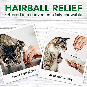 Vet’S Best Cat Hairball Relief Digestive Aid | Vet Formulated Hairball Support Remedy | Classic Chicken Flavor | 60 Chewable Tablets
