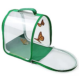 Small Butterfly Habitat, Insect Mesh Cage, Caterpillar Enclosure, Critter Cage, Bug Terrarium Portable Carry Handle Easy to Observe 8 x 8 x 8 Inches