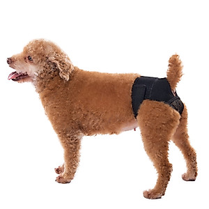 yrenoer Dog Panties for Dogs in Heat, Reusable Female Dog Pants to Prevent Cross-Tailing. Washable Dog Underwear to Protect Female Dogs from Male Dogs (L, Black)