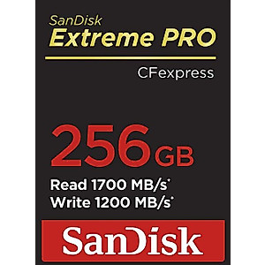 SanDisk 256GB Extreme PRO CFexpress Card Type B - SDCFE-256G-GN4NN