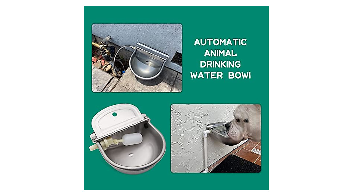 Automatic Cow Water Bowl - Durable Stainless Steel Animal Waterer
