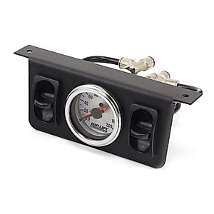 AIR LIFT 26229 200-psi Dual Needle Air Gauge