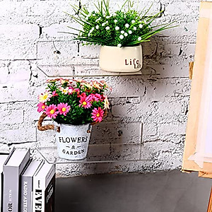 Vinsot 4 Pieces Acrylic Floating Shelves 12 Inch Clear Acrylic Shelf Acrylic Wall Display Shelf 4 mm Thick Invisible Book Shelves for Home Bathroom Office, Transparent, one size