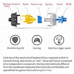 K917 RGB Mechanical Gaming Keyboard 87Key Retro Keyboard-Blue Switch-LED Backlit- Round Keycaps Anti-Ghosting Mechanical Illuminated Keyboard for PC Gaming and MAC (Retro-White)