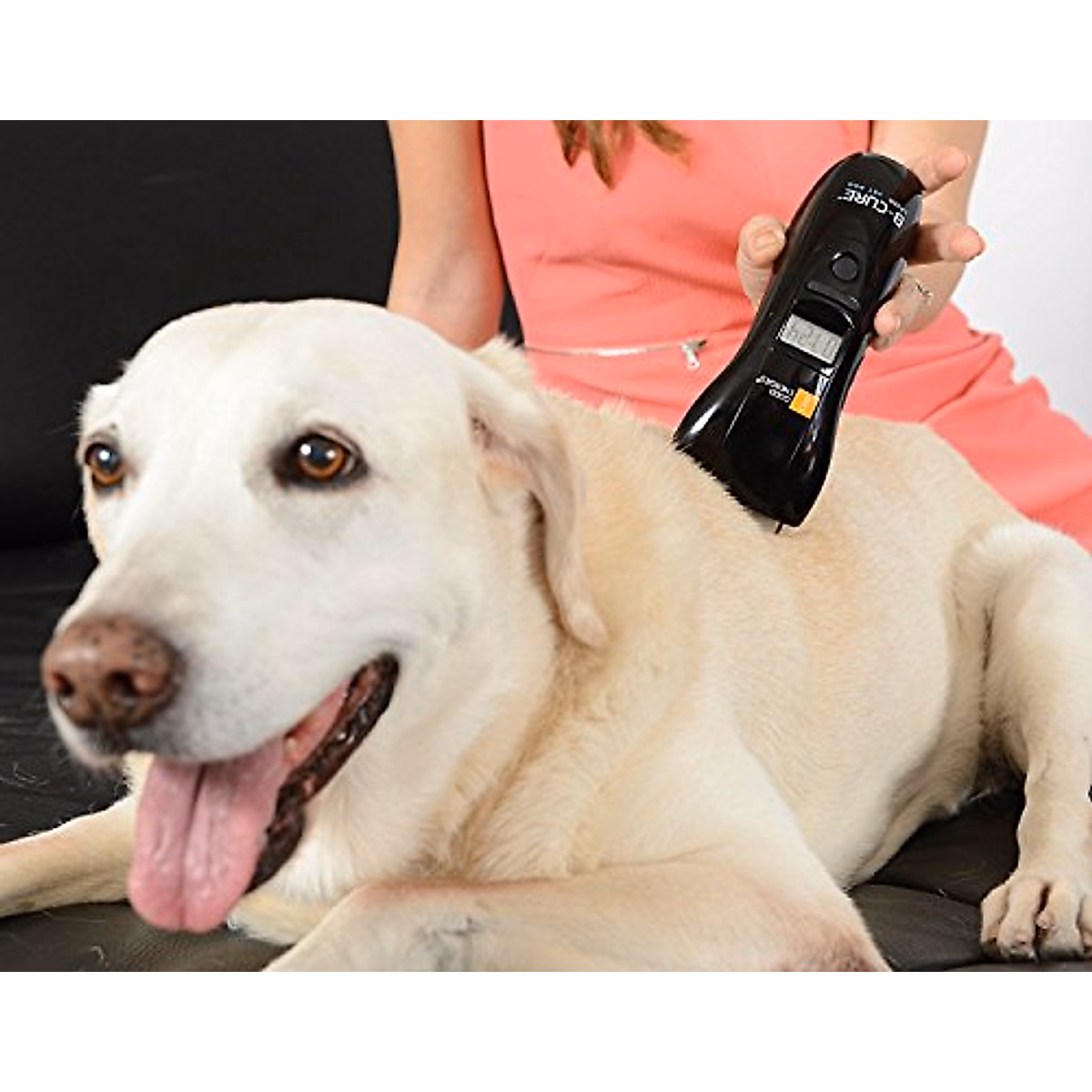 B-Cure Cold Laser Therapy Device for Dogs, Cold Vet Device for Pets & Infrared Light Therapy for Pain Relief, Muscle & Joint Pain, Suitable for Dogs, Cats, Horses and Other Animals