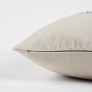 Rizzy Home T11064 Decorative Pillow, 20"X20", Light Blue