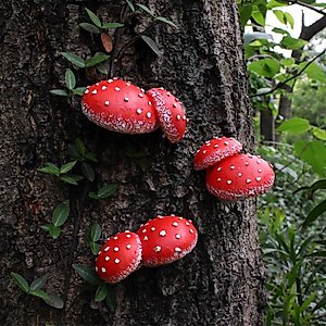 NUOLUTH Glow-in-The-Dark Mushroom, Lawn Ornaments, Set of 3 Mushroom Shelf Wall Decor - Mushroom Tree Decorations Outdoor, Mushroom Statue Figurines, Fairy Garden Decor Accessories