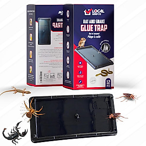 Sticky Mouse Pads 12-Pack | Large Glue Boards for Mice, Rats, and Snakes | Non-Toxic Heavy Duty Glue Boards for Indoor Use, Rodents, Spiders