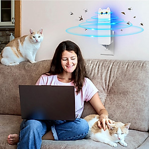 Qualirey 25 Pack Flying Insect Trap Refill Fly Traps, Insect Trap Glue Board Refills, Replacement Sticky Glue Cards for Insect Bug Mosquito Gnat Fruit Fly Trap Indoors (Cat Shape)