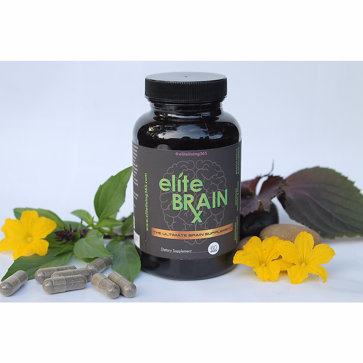 All Natural Brain Supplement – Increases Clarity, Improves Memory & Mood, Boosts Focus & Intelligence - Scientifically Formulated Nootropic for Cognitive Enhancement - Ginkgo Biloba - Elite BrainRx