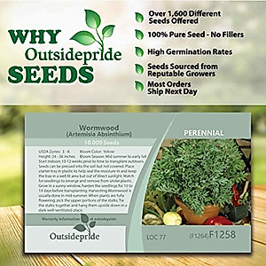Outsidepride Perennial Artemisia Wormwood Herb Garden Plants with Aromatic Fragrance - 5000 Seeds