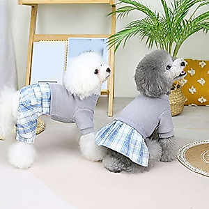 ZTGD Cute Dog Clothes for Small Dogs（Couple Outfit）,Kawaii Dog Couple Clothes,Puppy Clothes for Small Dogs Girl and Boy,British Style Pet Clothes for Autumn 2 2XL