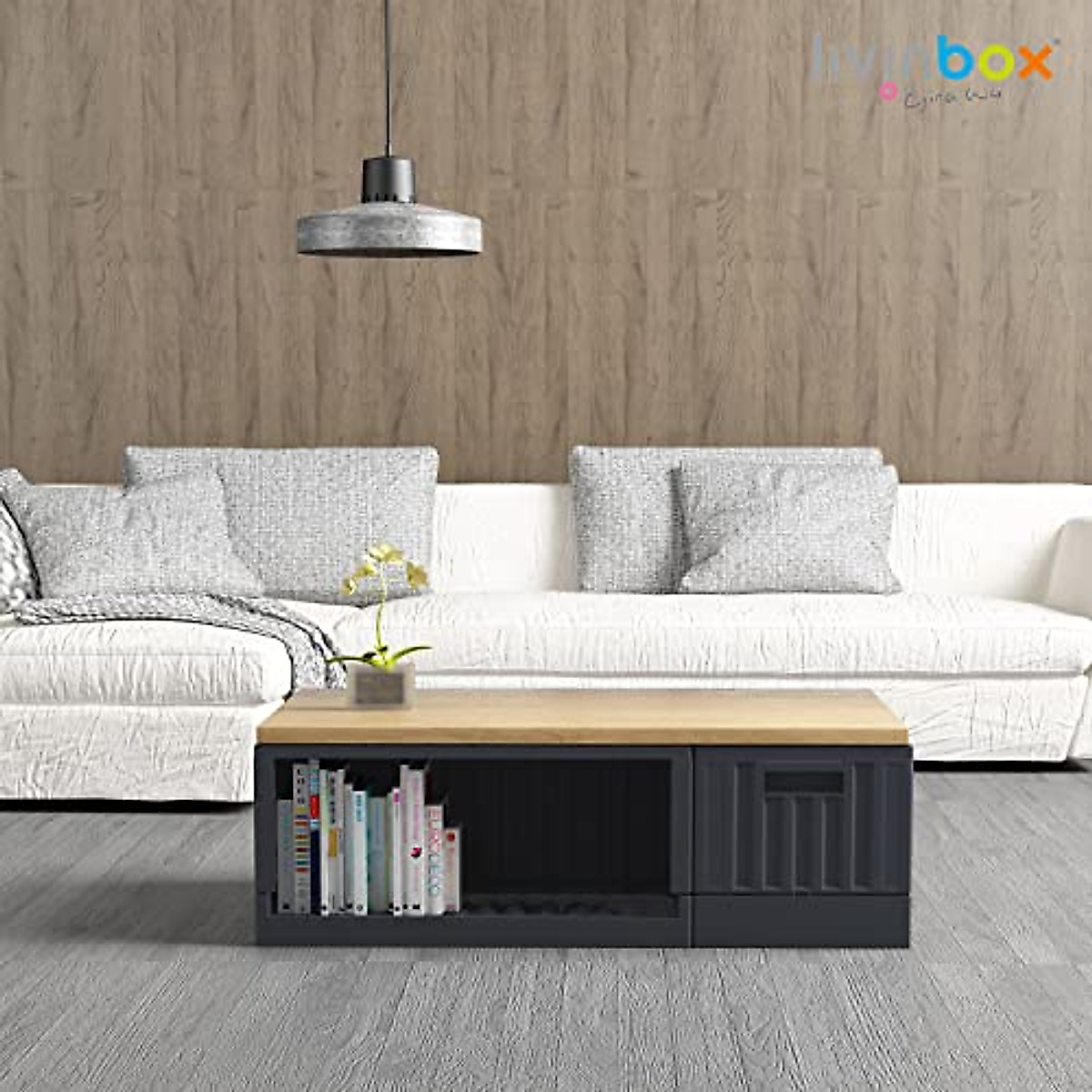 livinbox 45L collapsible storage bins with door, comic books container, dust-proof stack-able folding box for Home Office Bedroom Dorm Toys Bedding, white & transparent, FB-6432S-WTTR