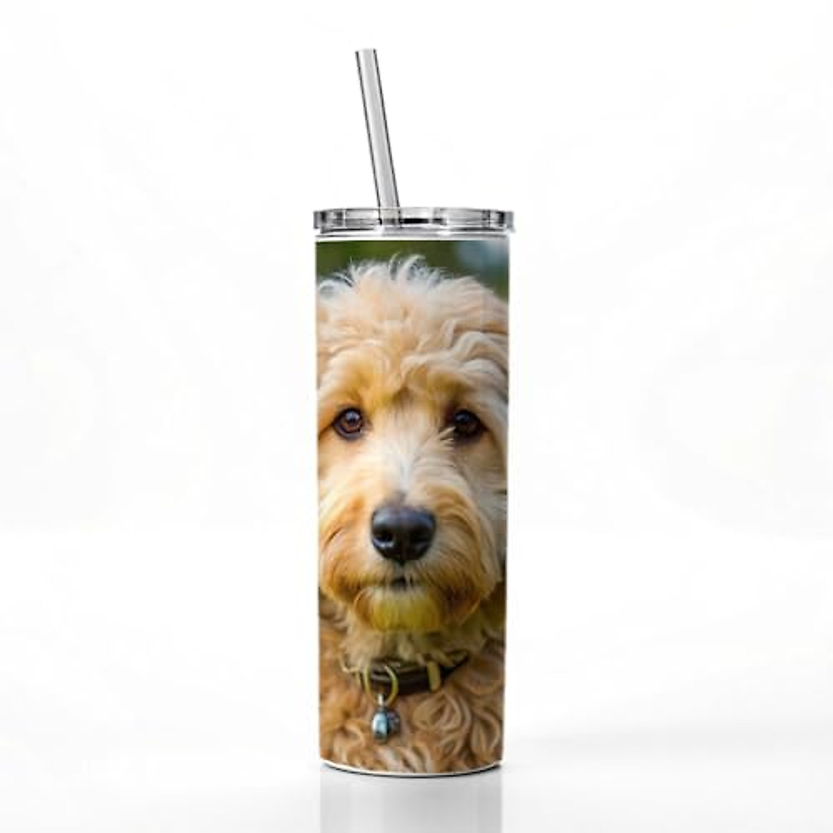 Goldendoodle Dog Photo Skinny Tumbler 20oz with Straw Insulated Water Bottle Gift