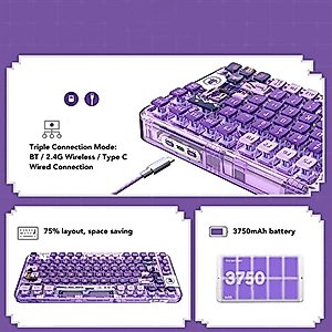 Mechanical Keyboard, 80 Keys Triple Modes Gasket Structure Transparent Case Hot Swapable Mechanical Gaming Keyboard,for Gaming Studying
