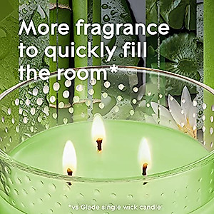 Glade Candle Bamboo & Waterlily Bliss, Fragrance Candle Infused with Essential Oils, Air Freshener Candle, 3-Wick Candle, 6.8 Oz