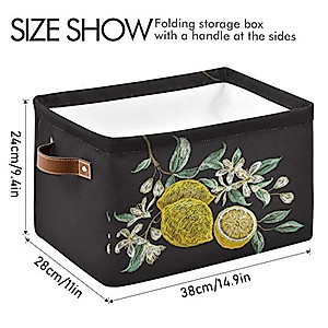 ALAZA Decorative Basket Rectangular Storage Bin, Flowers and Lemon Black Organizer Basket with Leather Handles for Home Office