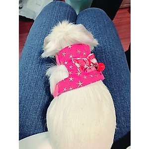 Wontee Small Pet Harness Vest and Leash Set with Bowknot and Bell Decor for Gerbil Guinea Pig Squirrel Kitten Outdoor Walking (S, Pink Star)