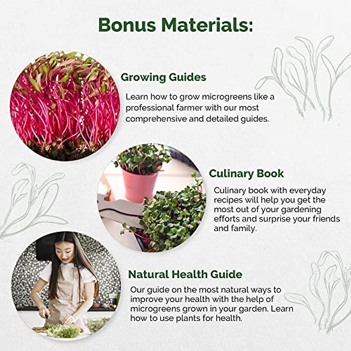 Beet Sprouting & Microgreens Seeds - Non-GMO, Heirloom Sprout Seeds Kit in Bulk 1lb Resealable Bag for Planting & Growing Microgreens in Soil, Coconut Coir, Garden, Aerogarden & Hydroponic System.