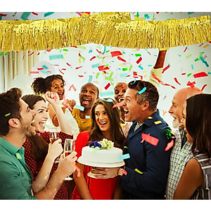 Black Parade Float Fringe,Black Fringe Banners,Black Fringe Garland,For Parade Float Decorations,Graduation Ceremony Decorations Festival Celebration,11.8 in x 9.8 ft,4 pack