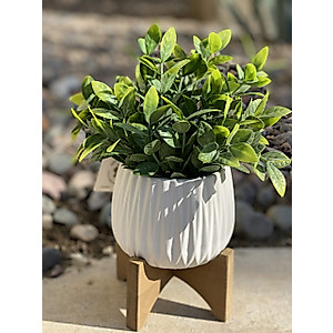 Flora Bunda Artificial Plant Tea Leaf in 5 in Ridge Ceramic Pot on Wood Stand,Matte White