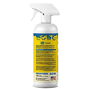 Kids 'N' Pets – Instant All-Purpose Stain & Odor Remover – 27.05 oz - (800 ml) – Pack of 2 - Proprietary Formula Permanently Eliminates Tough Stains & Odors – Even Urine Odors