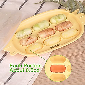 Haakaa Baby Fruit Food Feeder & Silicone Nibble Tray Combo - Breastmilk Popsicle Mold for Teething, Silicone Pacifier Feeder and Teether for Baby Teething & Infant Self Feeding