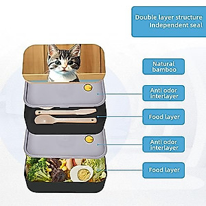 Bedroom Kitten Adult Lunch Box, Bento Box, With Cutlery Set Of 3, 2 Compartments, Rectangular, Lunch Box For Adults