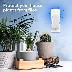 DFAGIE Fly Trap Indoor(1 Device + 5 Glue Cards), Mosquito Trap,Fly Trap,Plug-in Flying Insect Trap for Flies, Fruit Flies, Mosquito, Moths, Gnats, Gnat,White